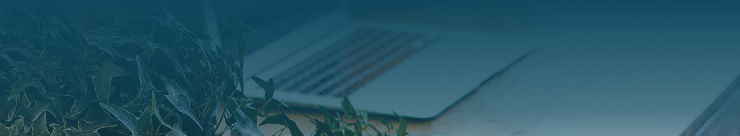 Blog Member Get Member